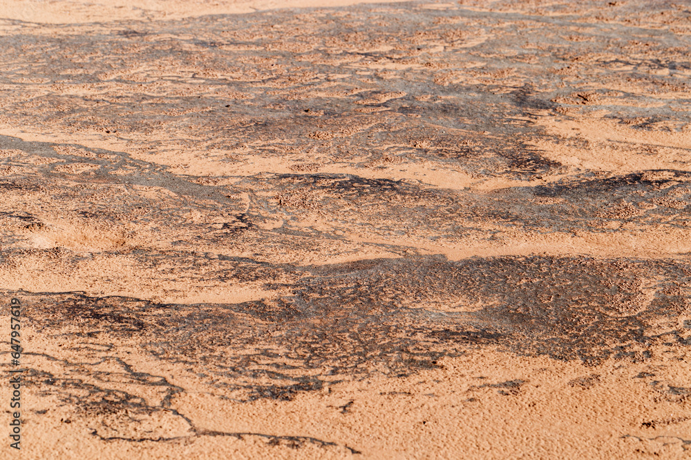 Macro photo shore salt lake, design texture pattern concept natural or ...