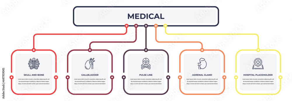 skull and bone, gallbladder, pulse line, adrenal gland, hospital ...