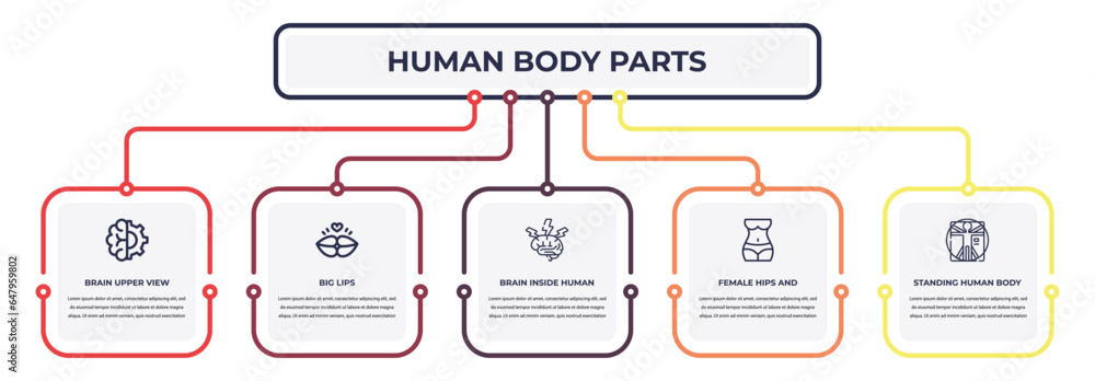 brain upper view, big lips, brain inside human head, female hips and ...