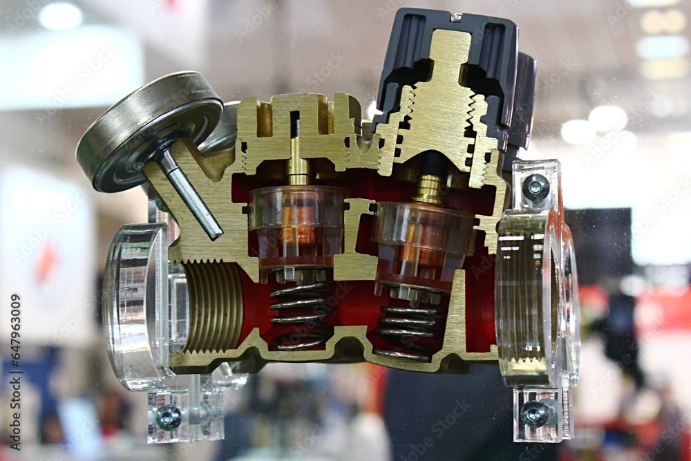 Transverse section of multifunctional thermal balancing valve for ...