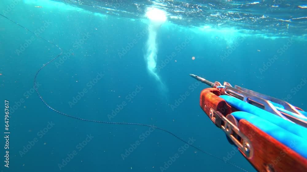 pov underwater footage of spearfishing. Hunting in the sea wallpaper ...