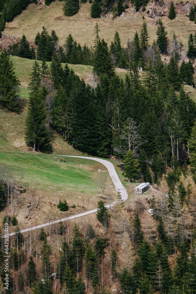 Beautiful nature view beside the railway seen from Rigi bahn cogwheel ...