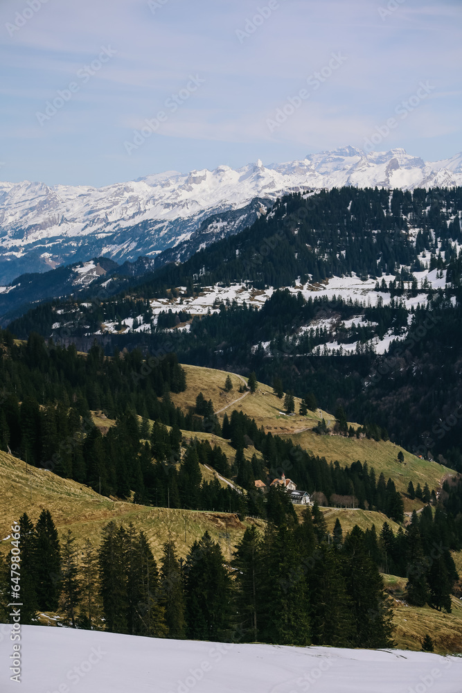 Beautiful nature view beside the railway seen from Rigi bahn cogwheel ...