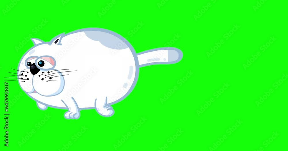 Cartoon white fat cat stand and go big greenbox isolated. Seamless loop ...