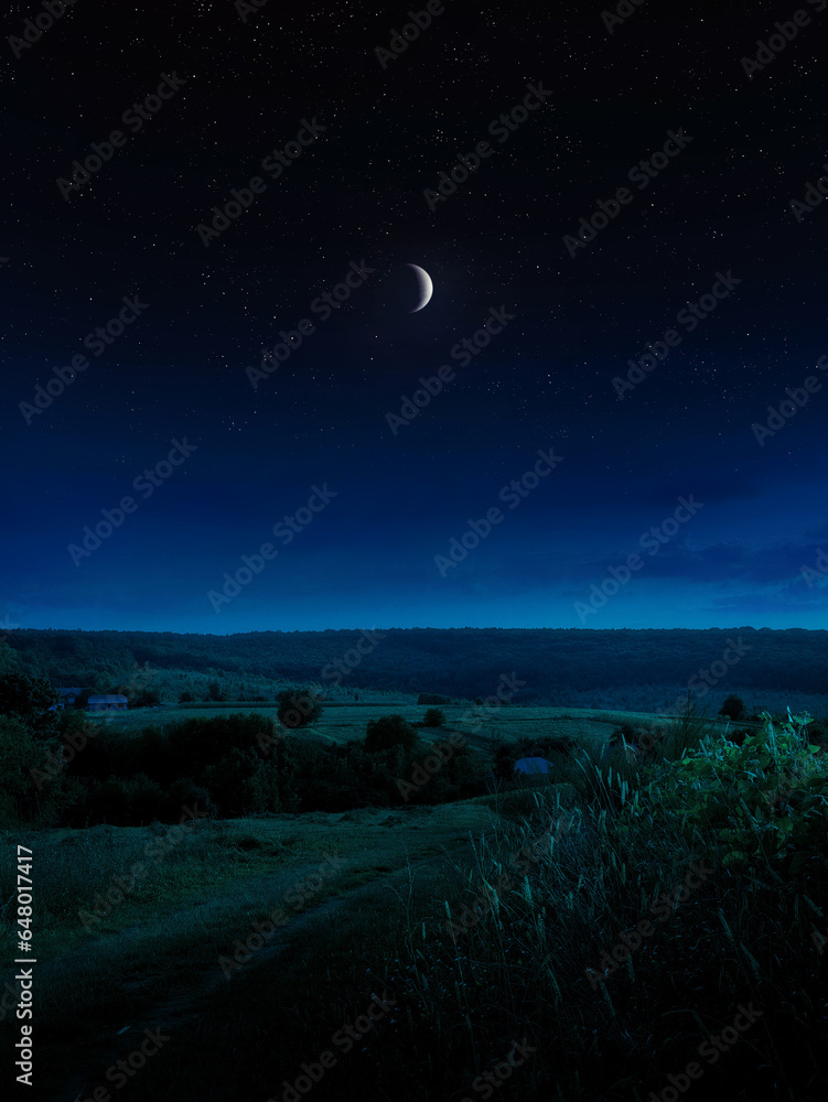 Half moon in a clear starry sky. Fields and wooded hills in the ...