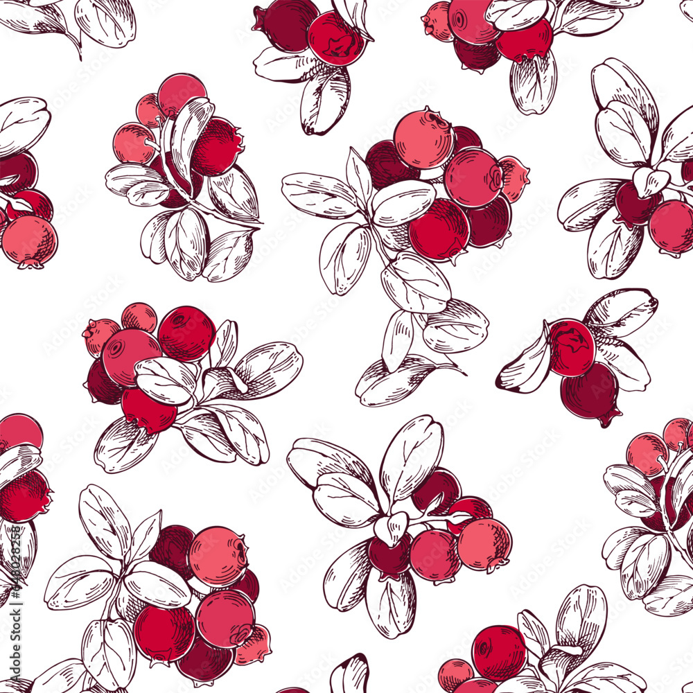 Lingonberry twigs with red berries. Seamless vector pattern with wild ...