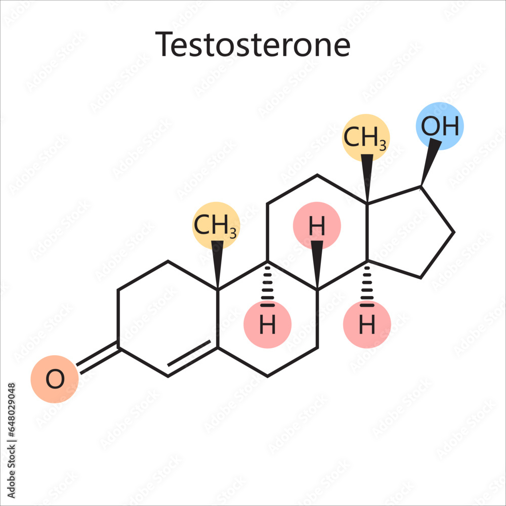 Chemical Organic Formula Of Testosterone Male Sex Hormone Diagram