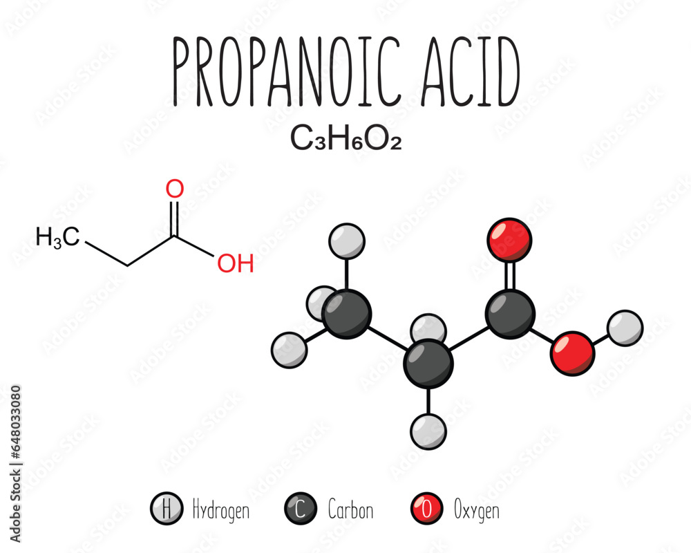 Propanoic acid skeletal structure and flat model representation, isolated on a blank background ...