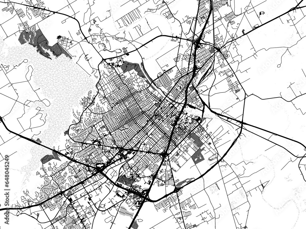 Greyscale vector city map of Waco Texas in the United States of America ...