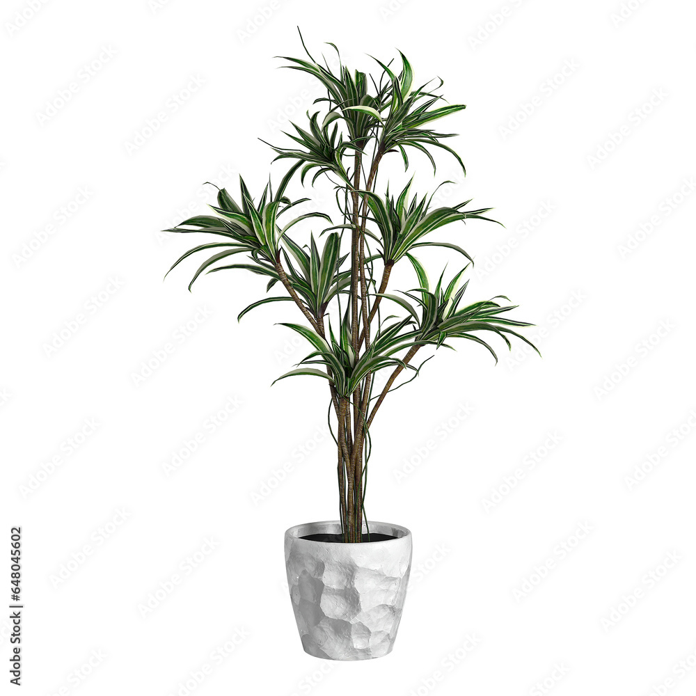 Ultra-high resolution photos of potted plants with transparent channels ...