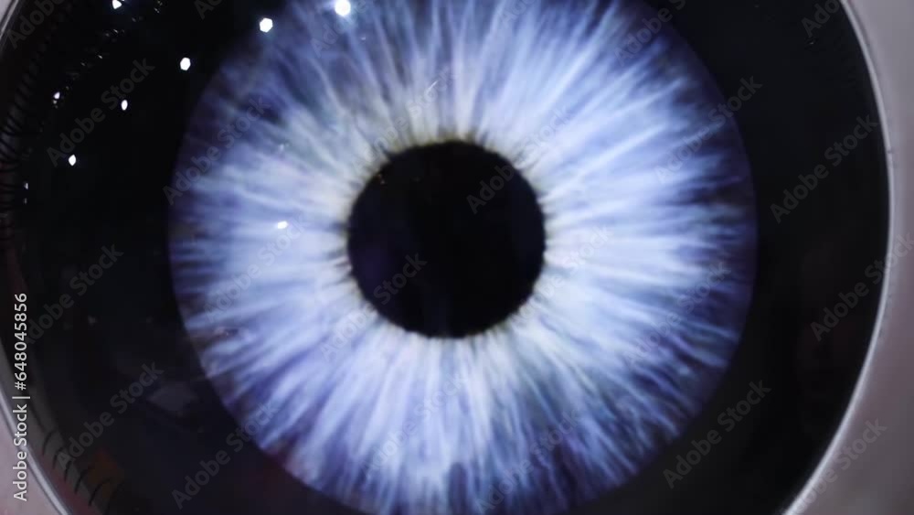 Medical mannequin. Close-up of a human eye with clear lines of the ...