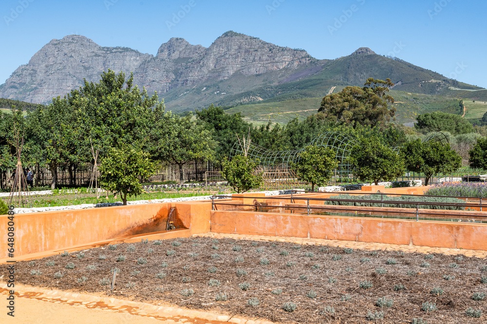 Babylonstoren, one of the oldest Cape Dutch farms. It has a fruit and ...