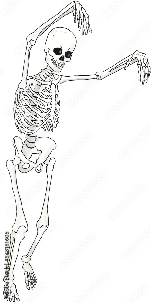 Skeleton with hands up like a zombie. Perfect when you want to add some ...