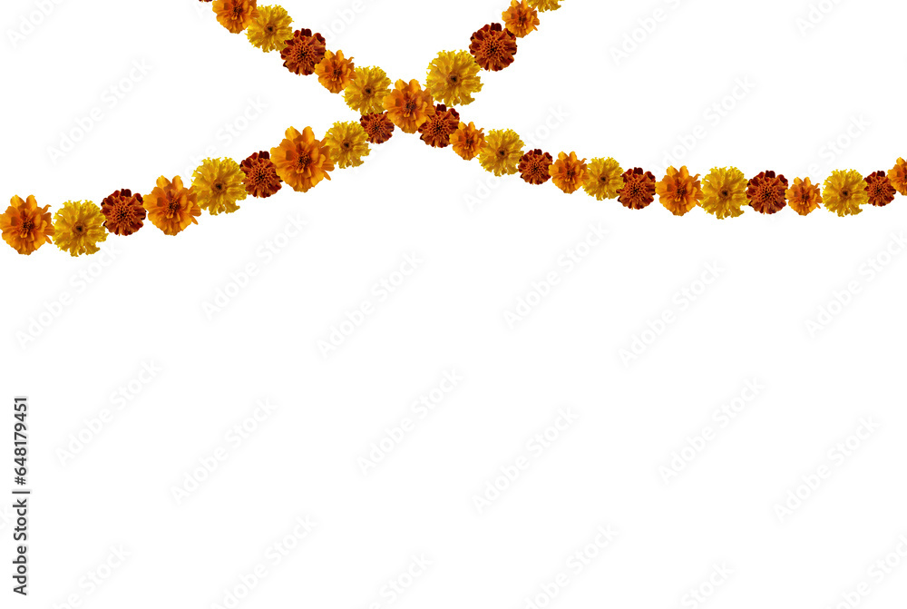 Marigold flowers garland cut out on transparent background. Marigold ...