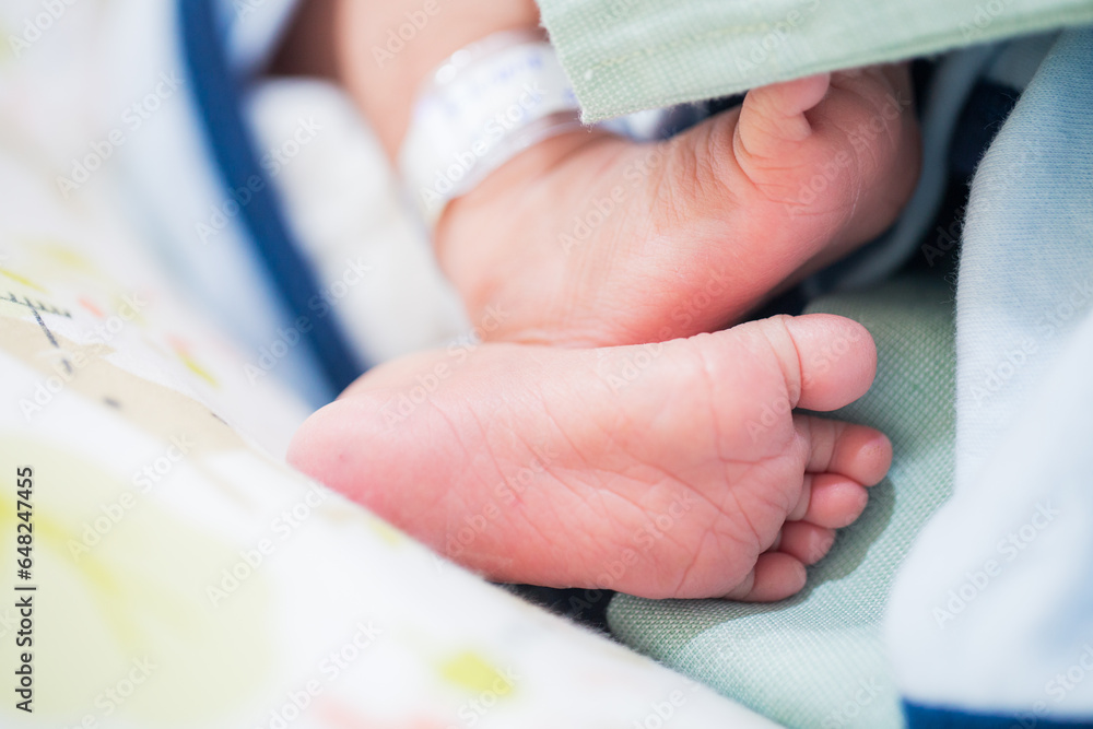 baby feet,Parents hold in the hands and feet of the newborn baby. Stock ...