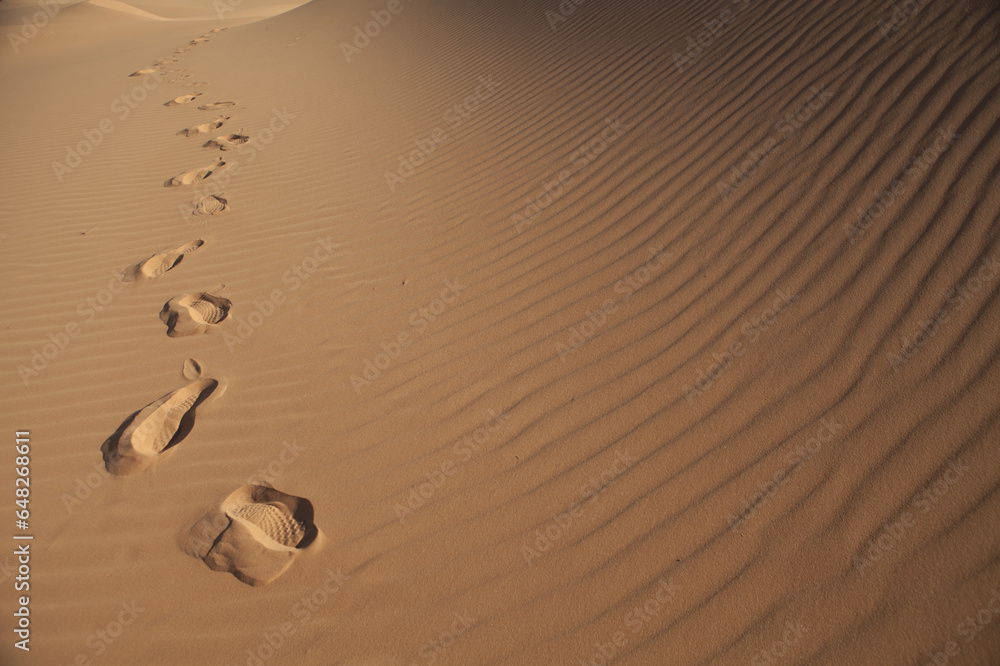 Human Footprints And Ripples In The Sand, Coral Pink Sand Dunes State ...