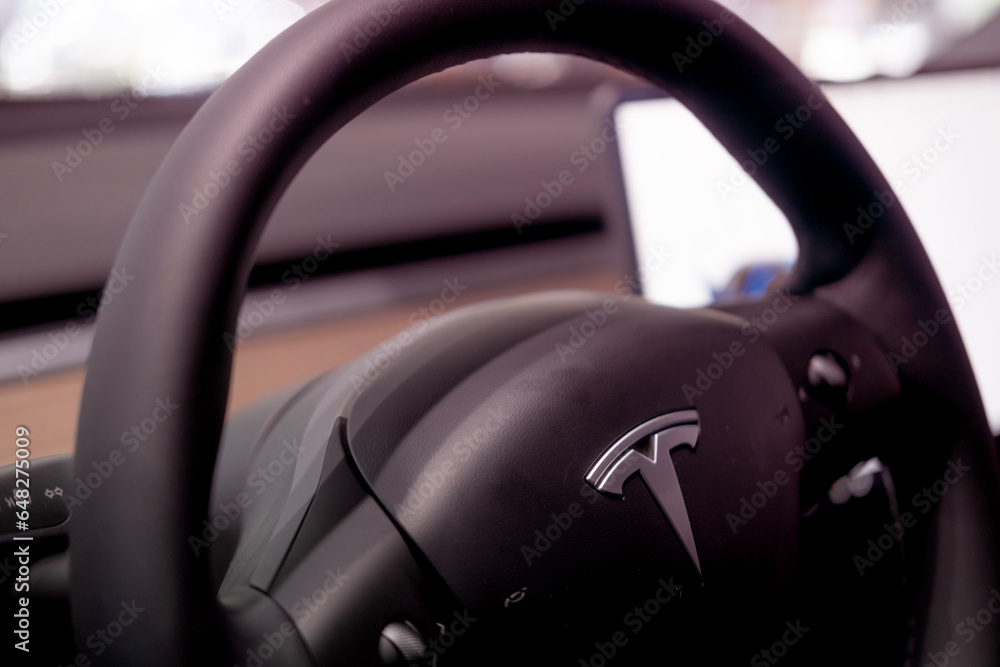 steering wheel Tesla model Y electric car, Driver's column, modern ...