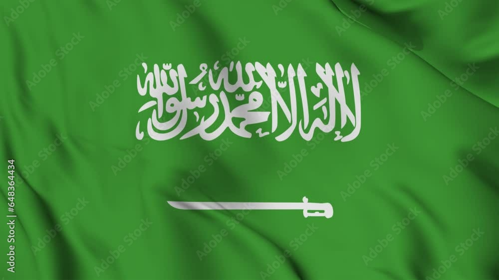Vidéo Stock Saudi Arabia flag animation for background in 4k. Happy ...