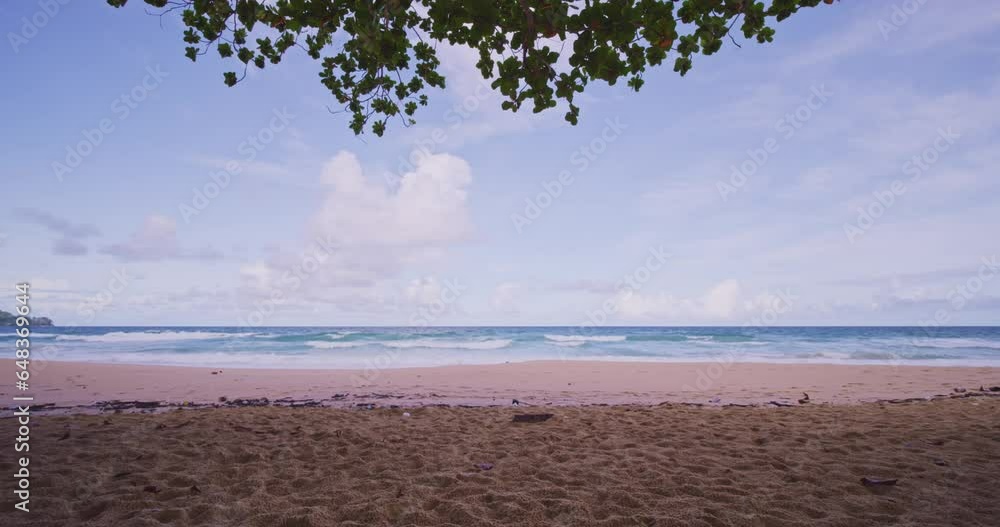 Amazing beach on the Islands with trees leaves frame on the ocean ...
