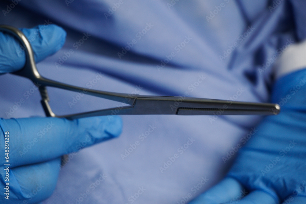 Doctor wearing blue medical gloves holding Allis Intestinal and Tissue ...