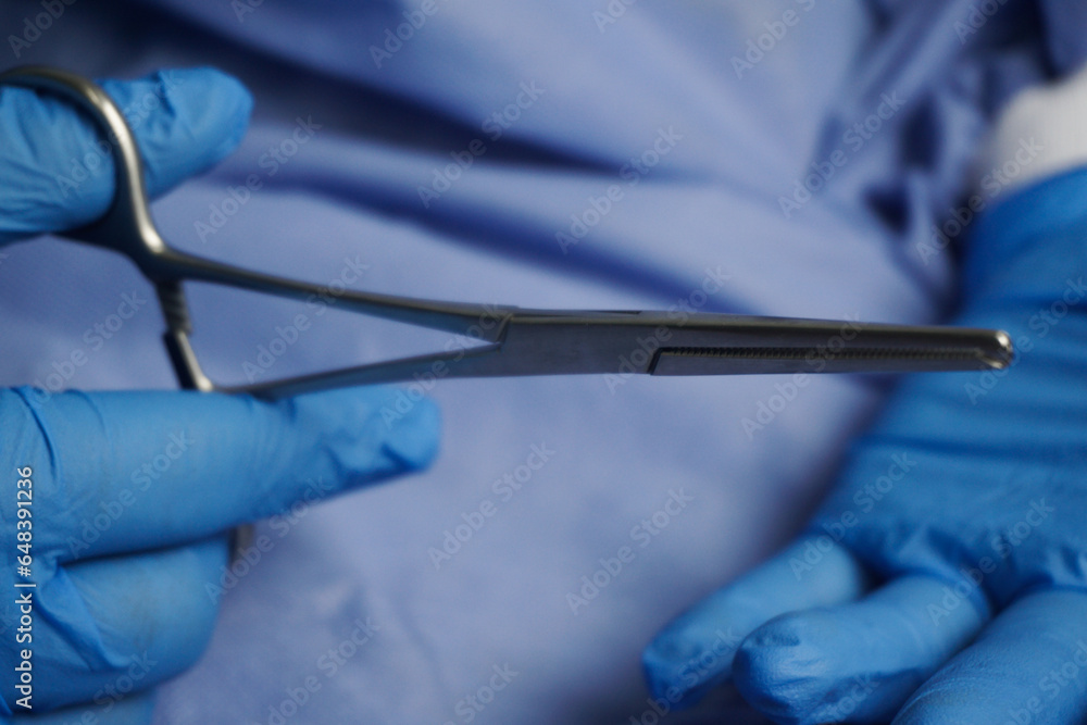 Doctor wearing blue medical gloves holding Allis Intestinal and Tissue ...