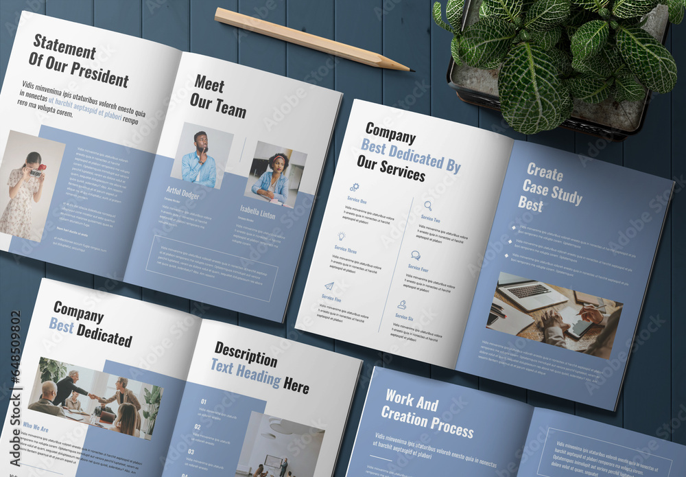 Business Proposal Design Layout Stock Template | Adobe Stock