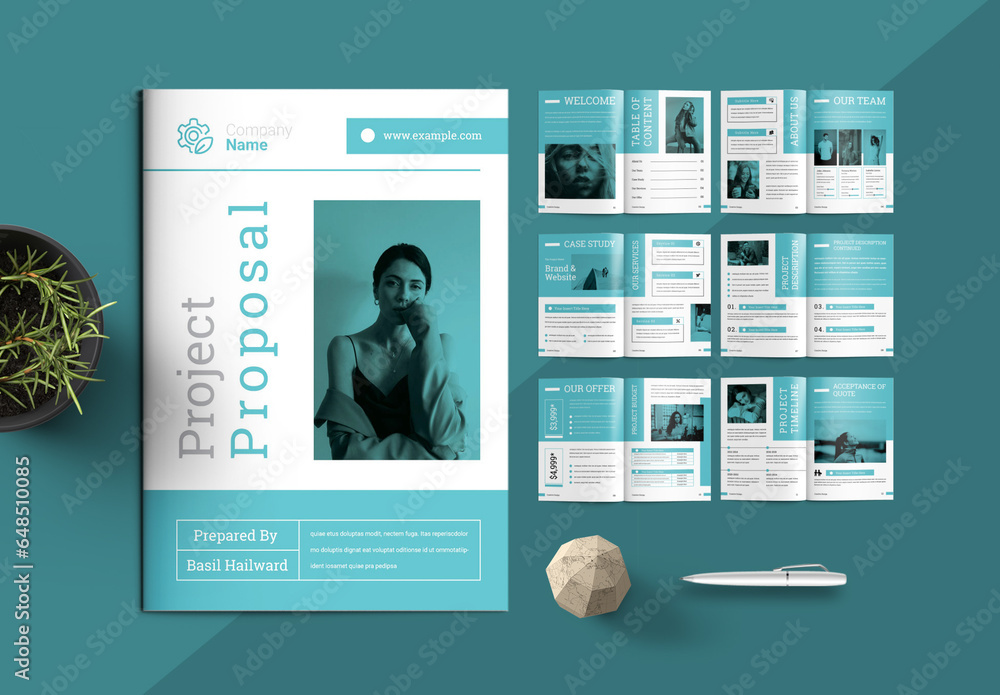 Project Proposal Layout with Blue Accents Stock Template | Adobe Stock