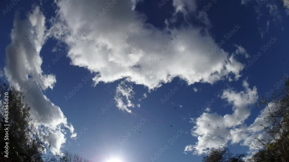 Blue sky with moving white clouds, sun rays, flock of birds Rooks ...