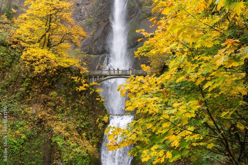 Oregon, People on the footbridge over Multnomah Falls, surrounded by ...