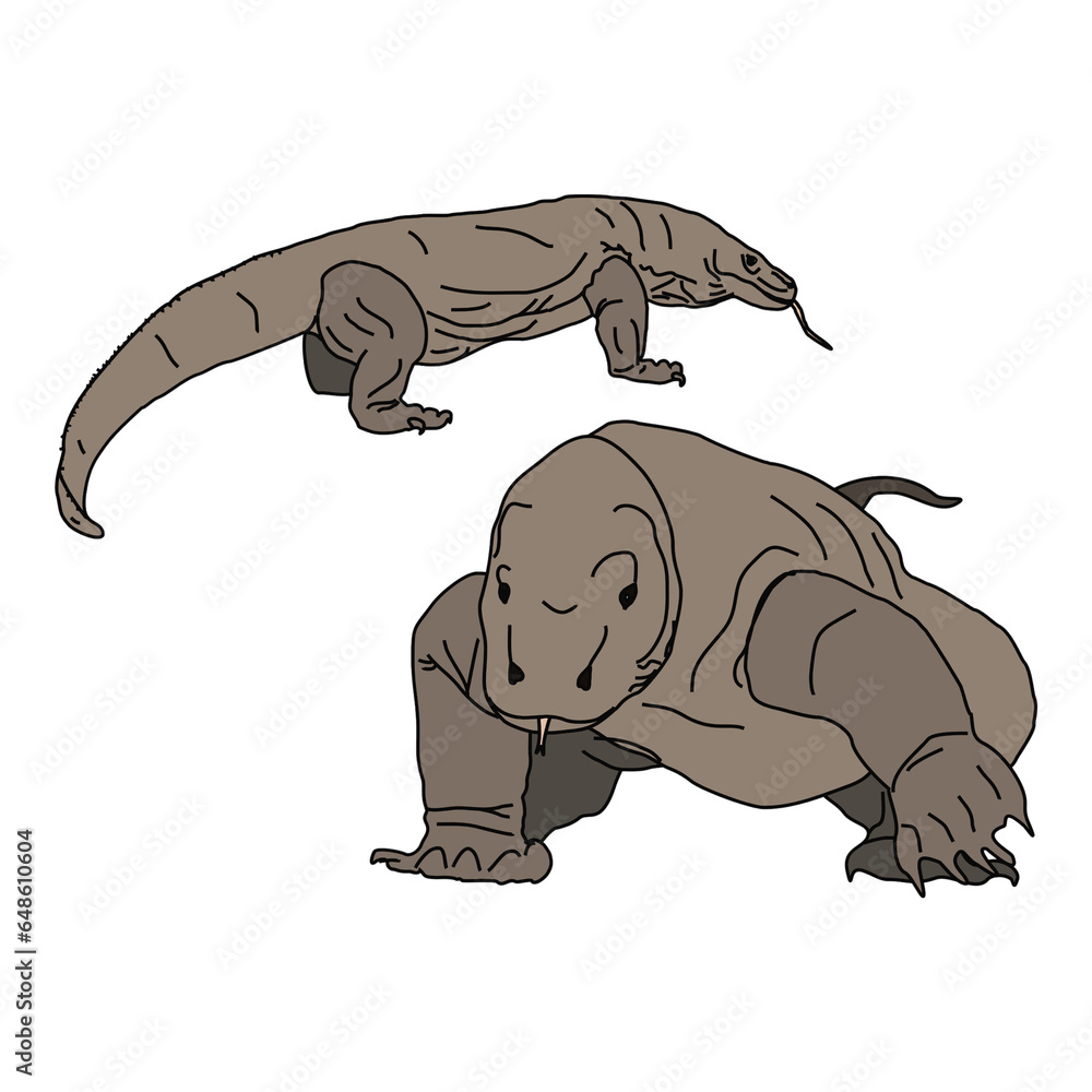 The Komodo dragon is a member of the monitor lizard family Varanidae ...