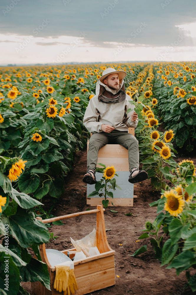 Young beekeepers work with bees in the apiary and eat honey.A young ...