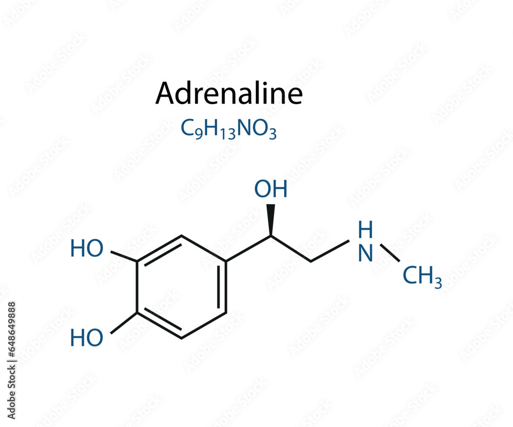 Chemical formula of adrenaline molecule skeletal vector illustration ...