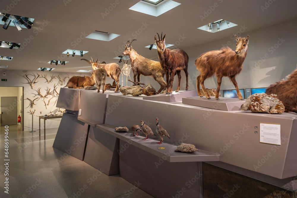 Nature area - Animals of Liechtenstein at Liechtenstein National Museum ...