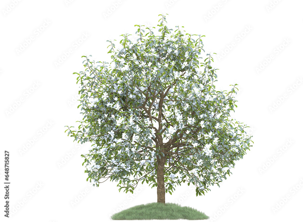 Various types of tree branch plants bushes shrub and grass Stock Photo ...