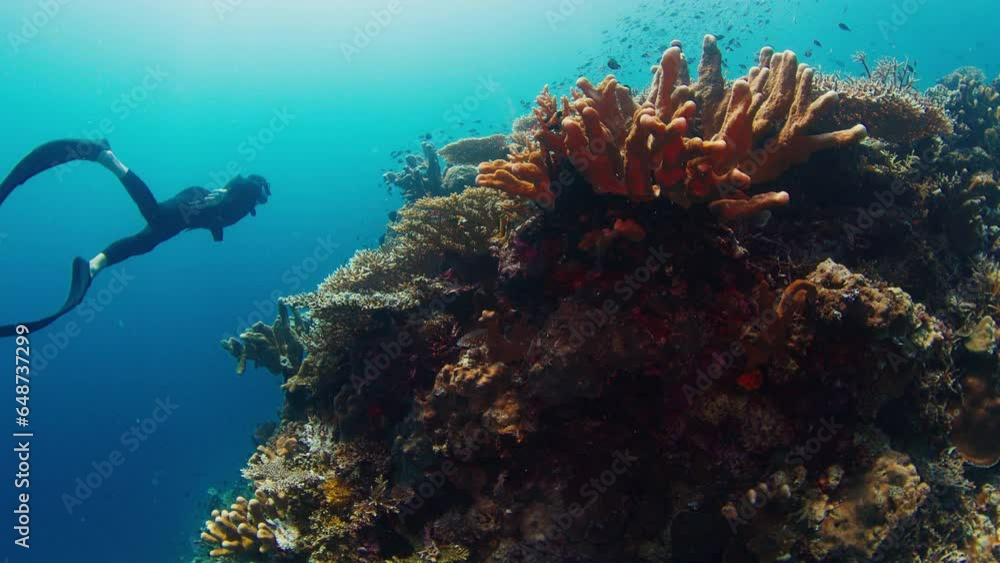 Freediving on the reef with fish. Male freediver glides underwater and ...