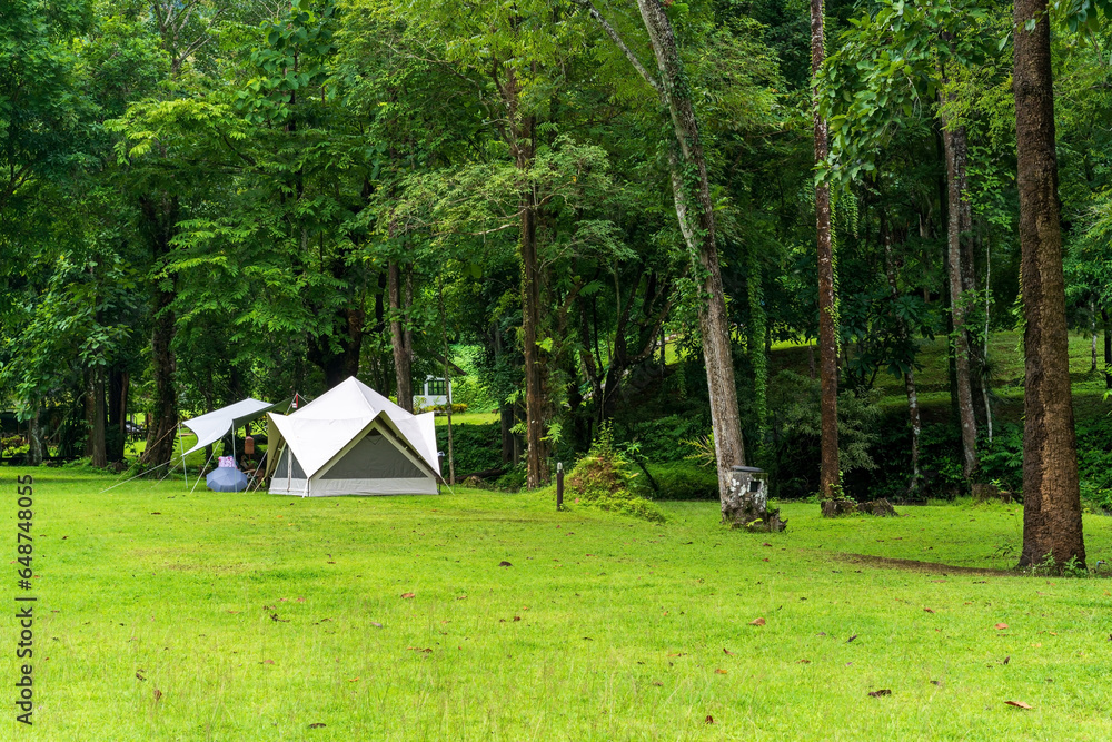 nature landscape camping or white glamping cabin tent on green grass ...