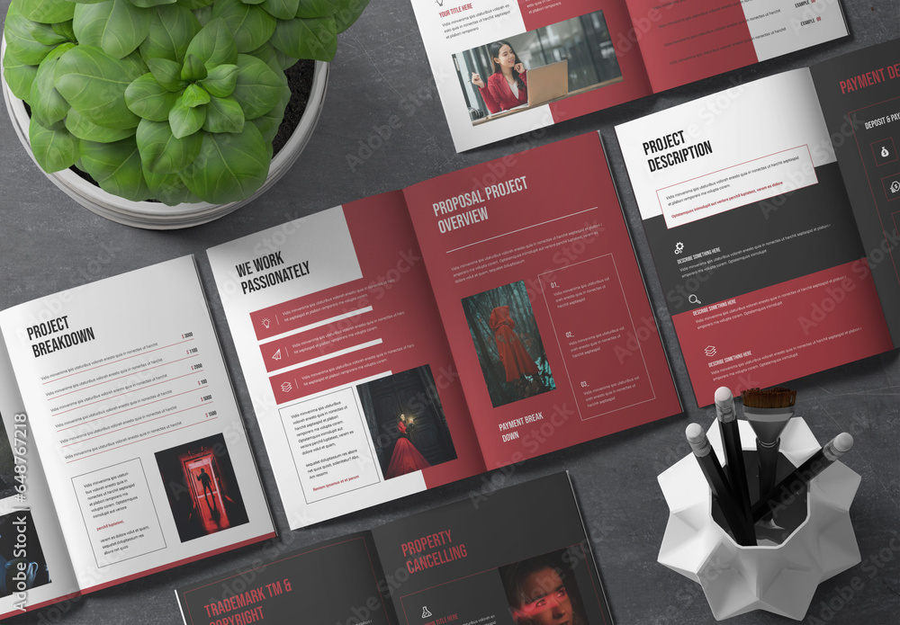 Design Proposal Layout with Red Elements Stock Template | Adobe Stock