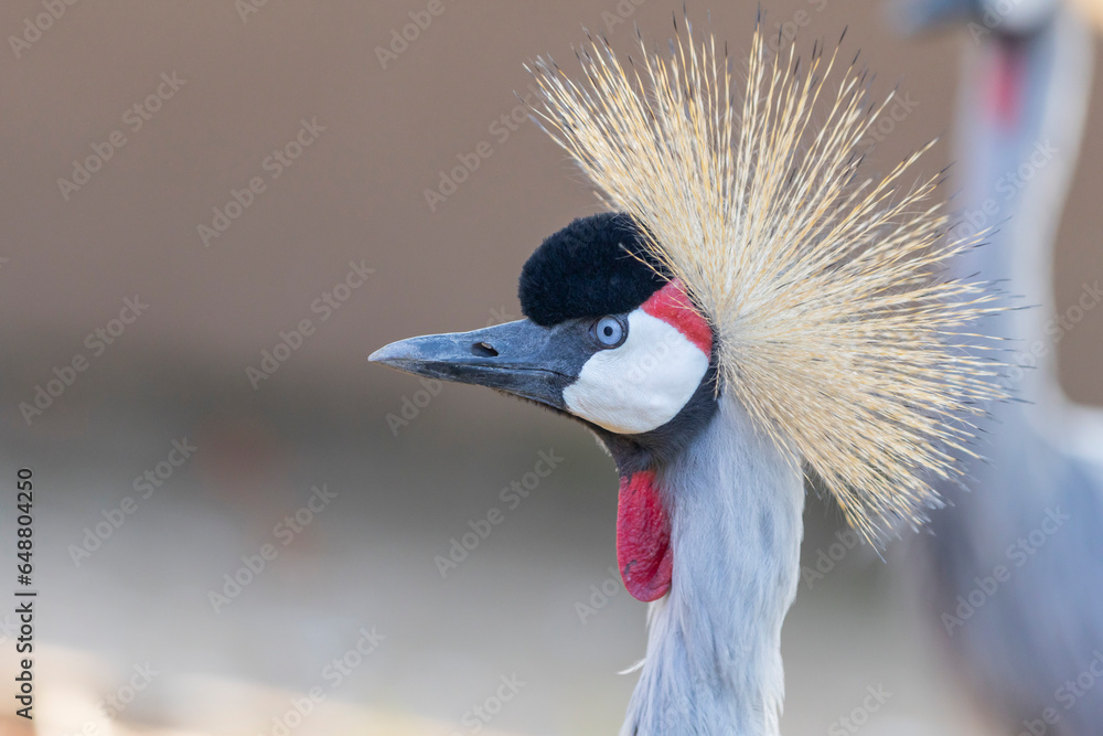 One of Turkey's largest zoos, animals are resting, visitors have a ...