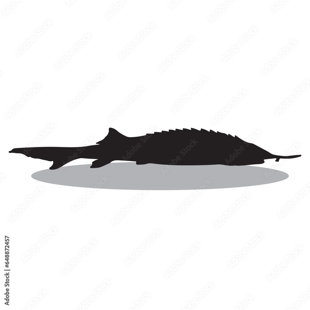 Sturgeon Silhouette Cute Sturgeon Vector Silhouette Cute Sturgeon Cartoon Silhouette Sturgeon