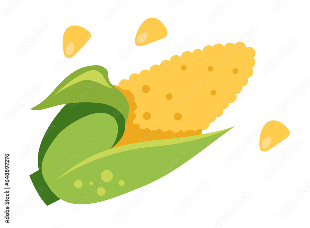 Corn maize kernel grain corncob line art drawing isolated concept ...