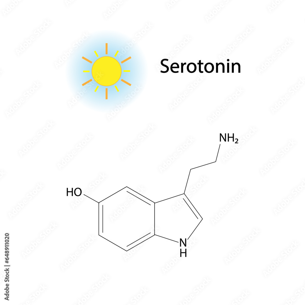 Serotonin Molecule Molecular Chemical Structural Formula Monoamine Neurotransmitter Vector