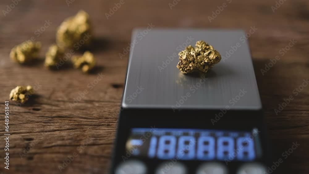man's hand uses white tweezers to pick up a lump of pure gold ore from ...