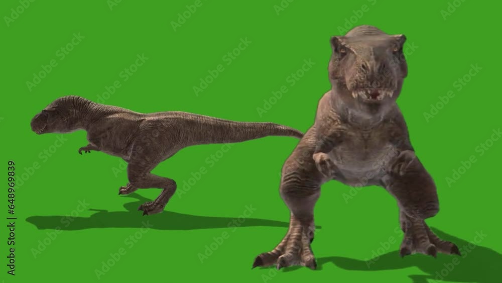 dinosaurs green screen raptor chroma key Stock Video | Adobe Stock