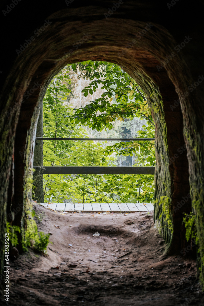 Old Architectural Arch in Forest with Sunlight Filtering Through Trees ...