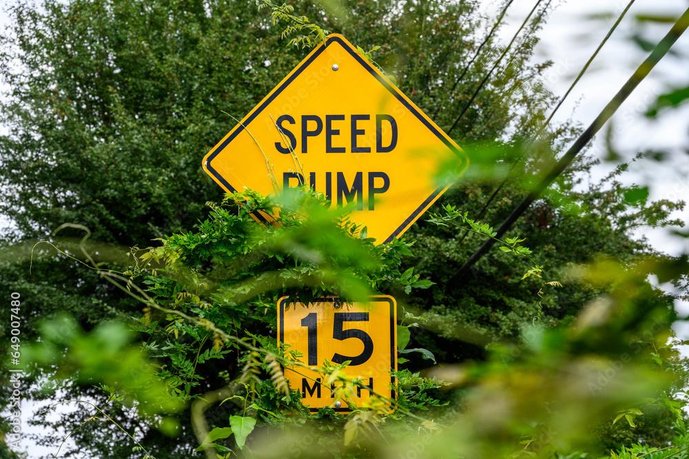 Traffic signs overgrown with plant vines, speed bump and 15 MPH ...