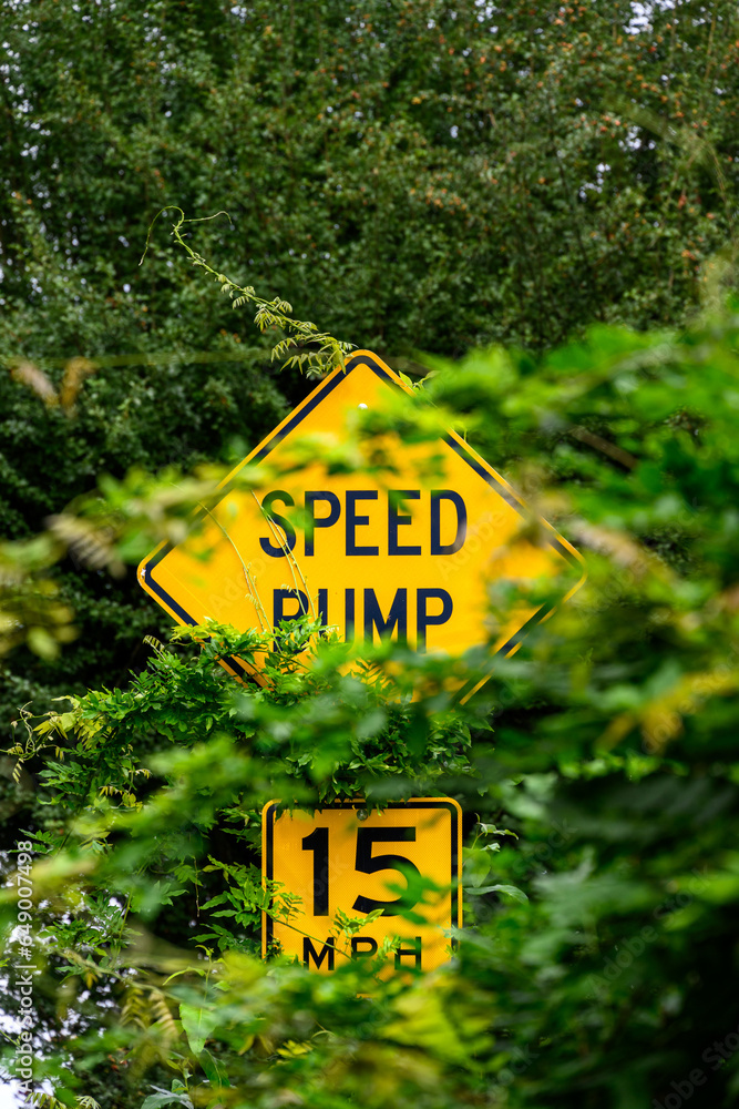 Traffic signs overgrown with plant vines, speed bump and 15 MPH ...