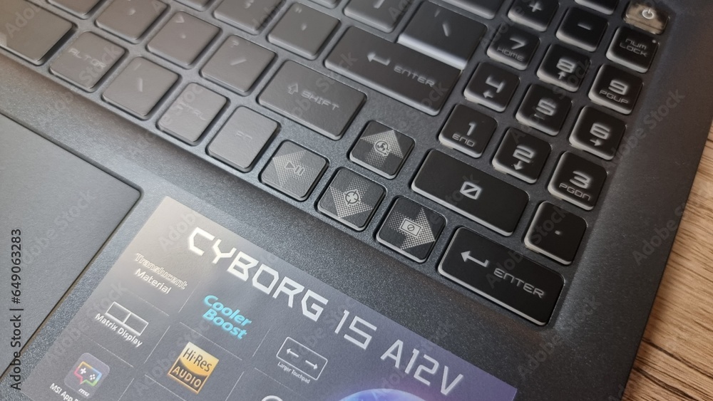Arrow keys of MSI Cyborg 15 gaming laptop highlighted with icons . 12th ...