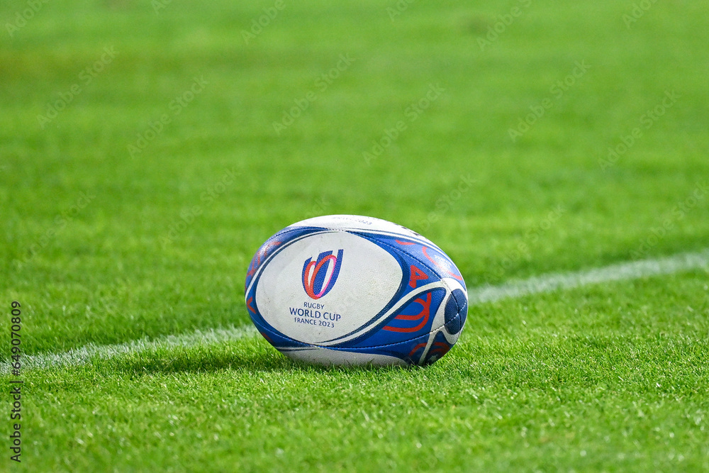 Official Gilbert Ball close-up illustration during the Rugby World Cup ...