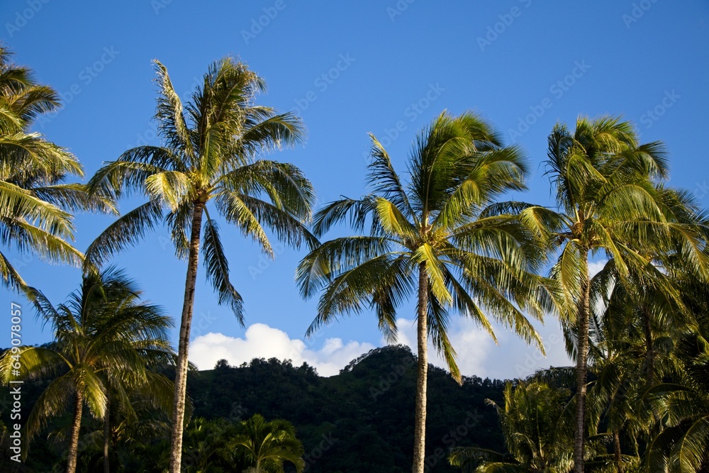 Taking a sunset dip at Tunnels and Ha'ena Beaches, located at the end ...