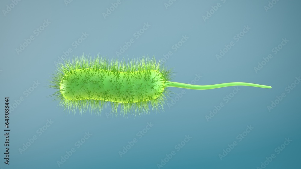 bacteria bacillus 3d render illustration. prokaryote microorganism with ...